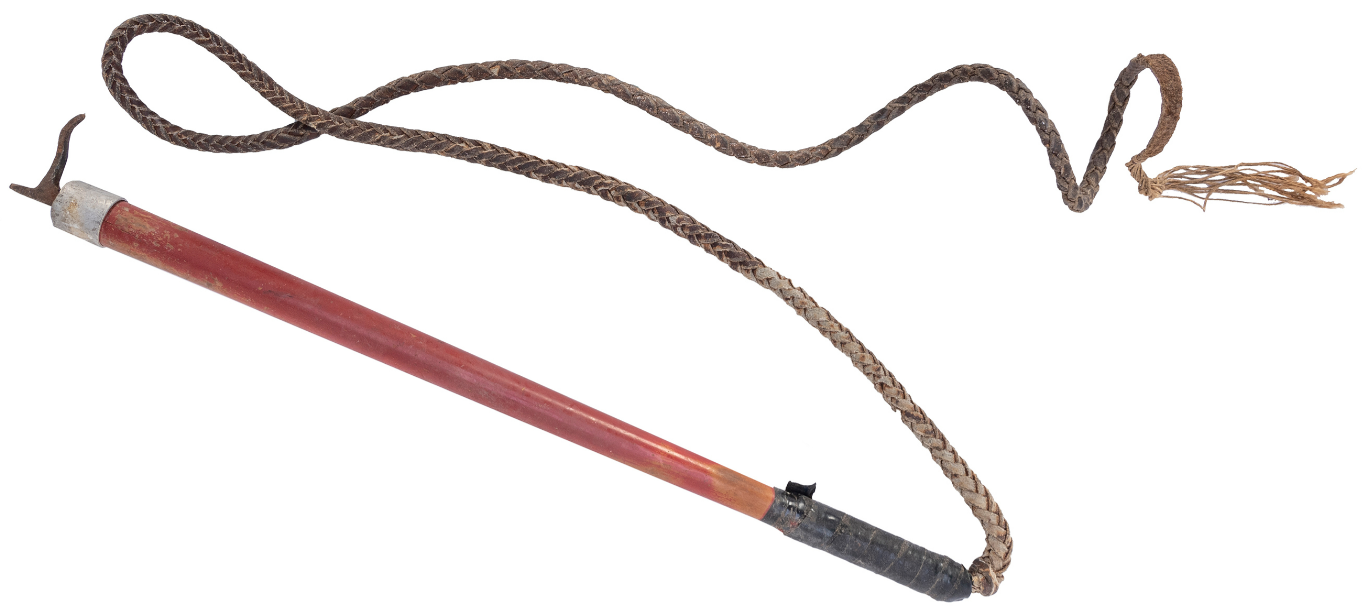 Oddities Collection Virtual Tour – MagicShow.Tips