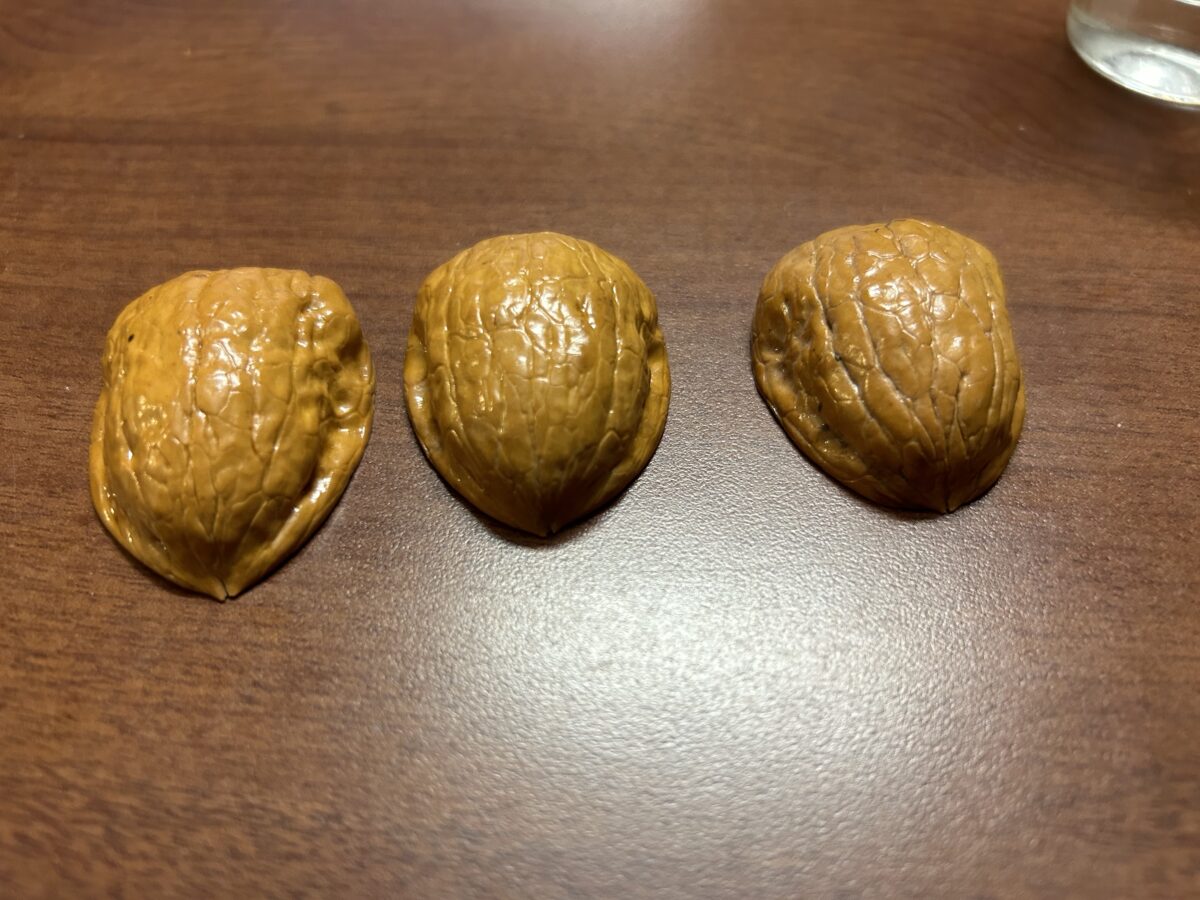 Visiting Hocus Pocus! – MagicShow.Tips