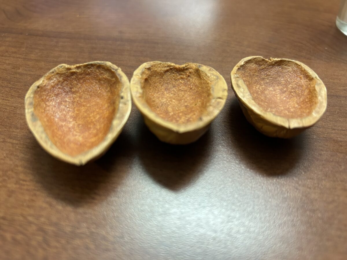 Visiting Hocus Pocus! – MagicShow.Tips