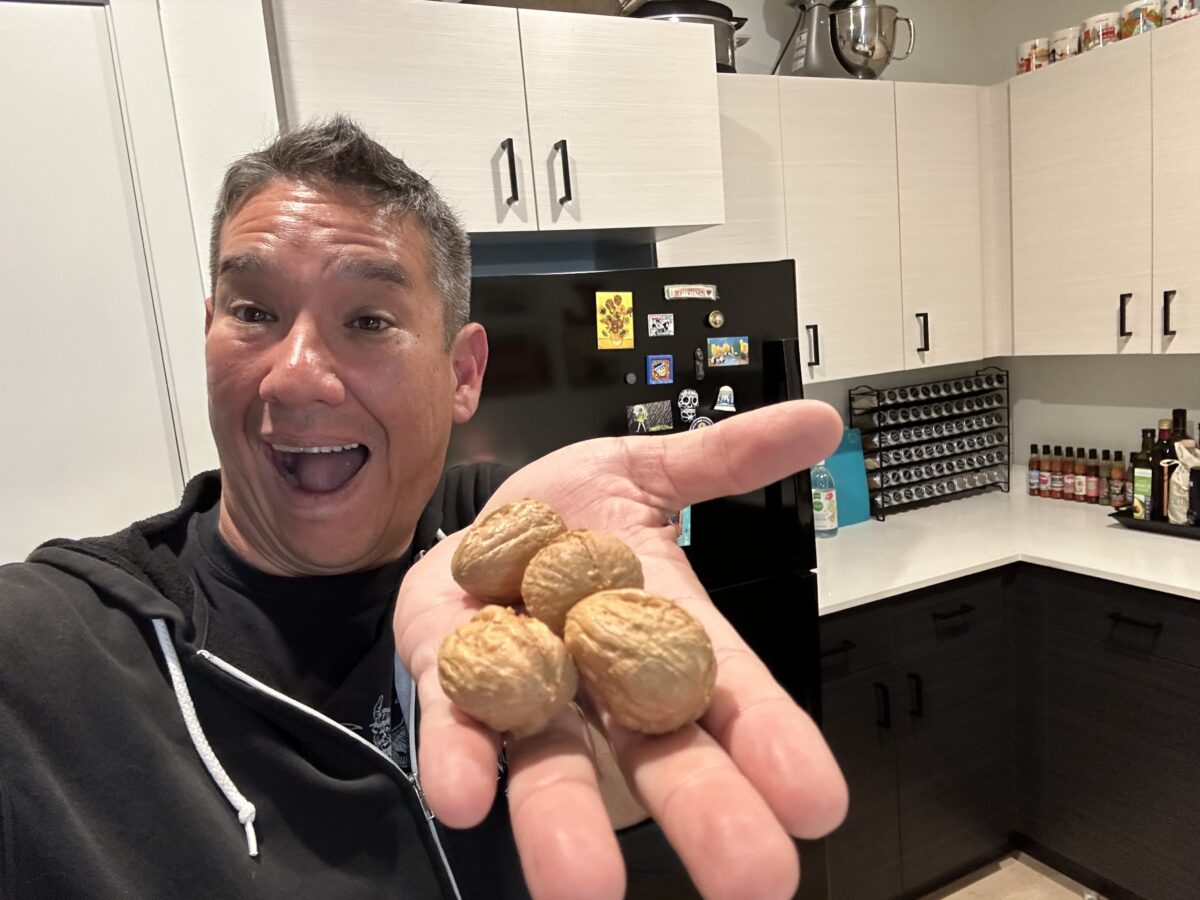 Walnuts to Glass Magic Routine: UPDATE – MagicShow.Tips