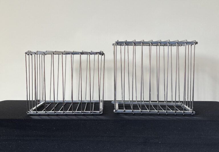 vanishing birdcage – MagicShow.Tips