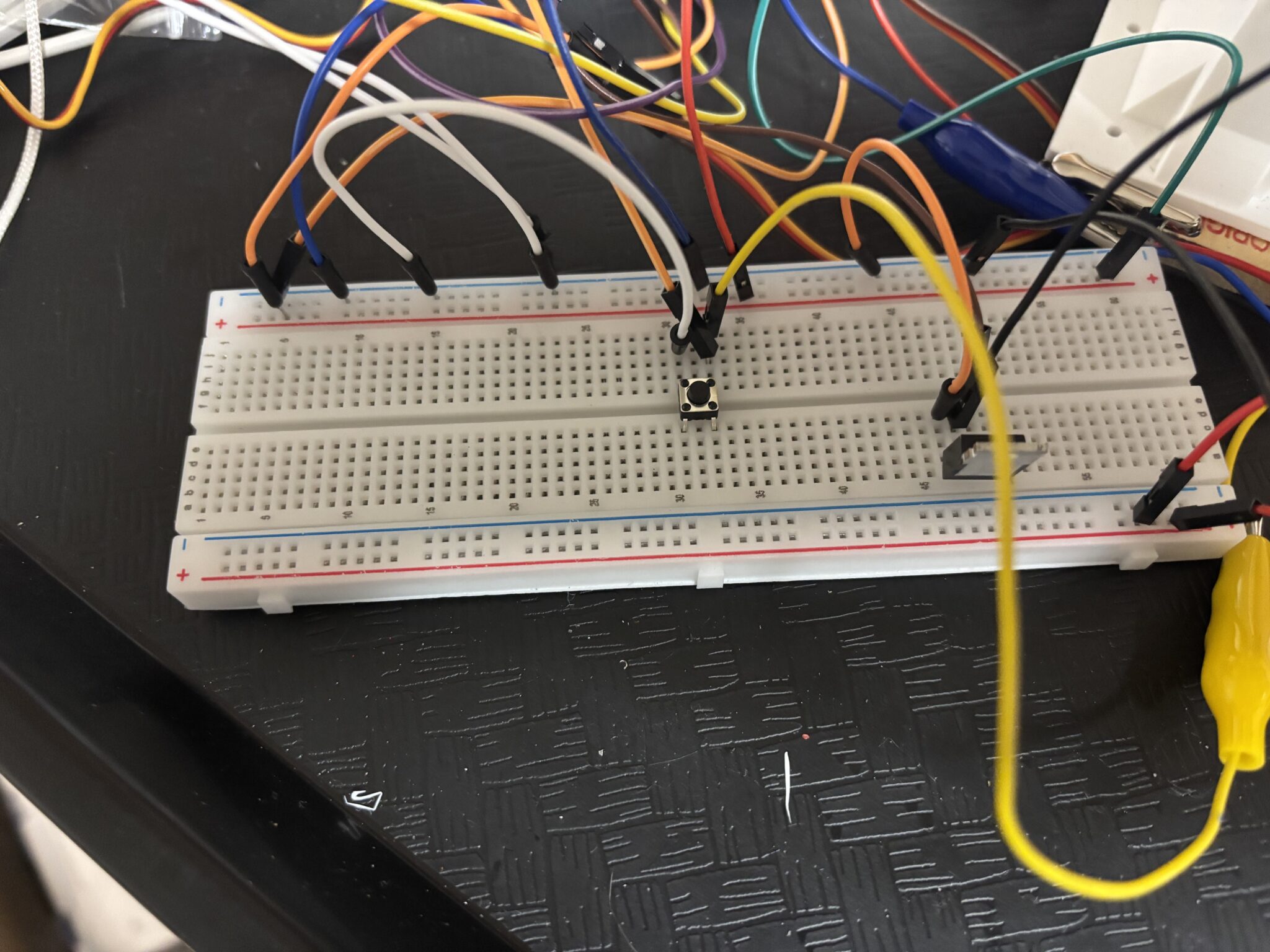 More Snake Basket Work – MagicShow.Tips